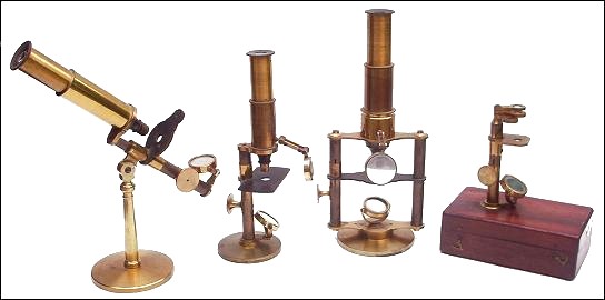 Antique Brass Microscopes Wanted